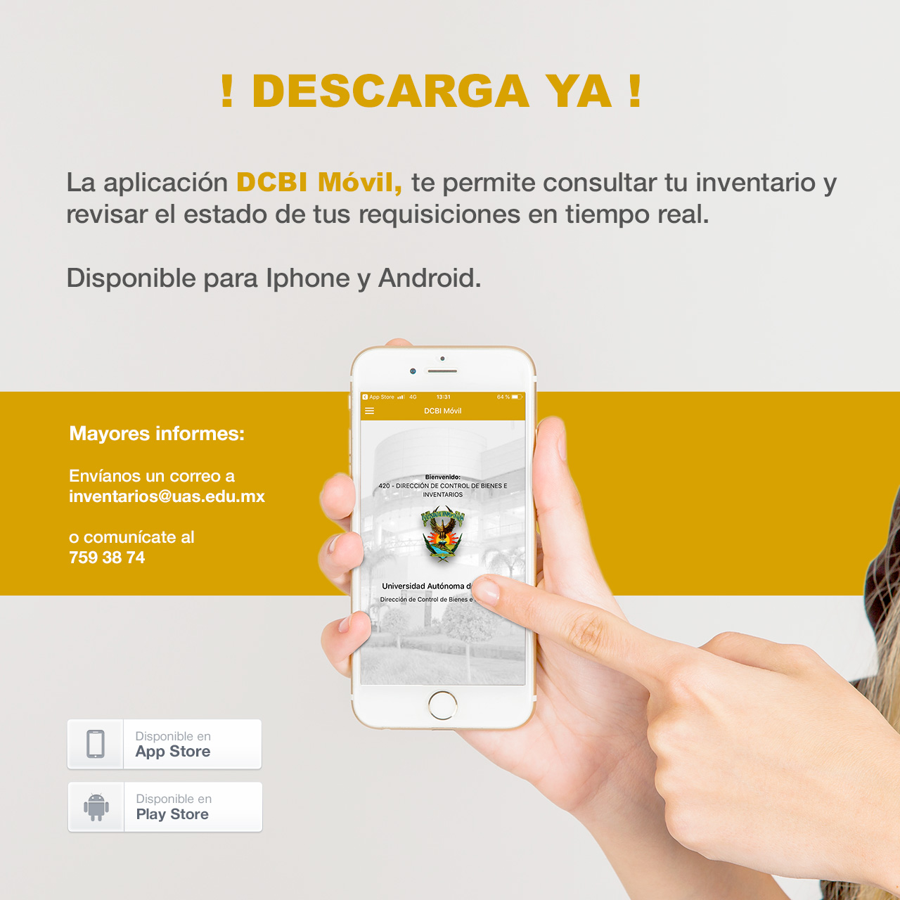 Bienes Muebles - Directores